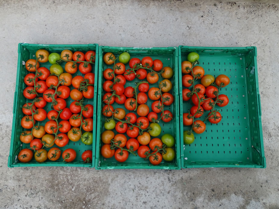 manvert | Aumento de la disponibilidad de nutrientes en el suelo y la ...